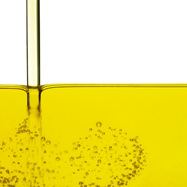 Try this mojo Clams with Olive Oil! - Olive Oils from Spain